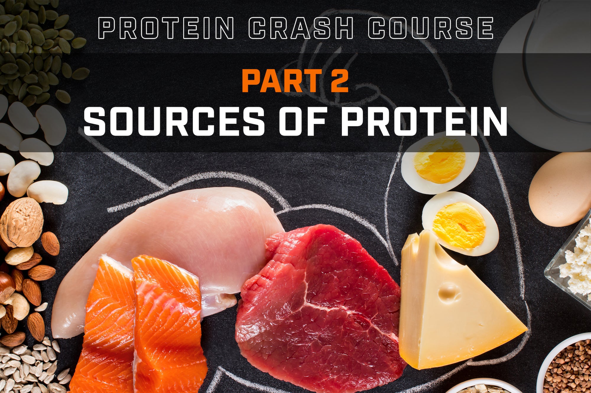 Protein Crash Course - Part 2 | Sources Of Protein – Ballistic Supps